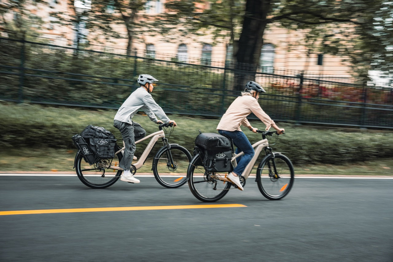 The E-Bike Hub – TwoWheels Denmark